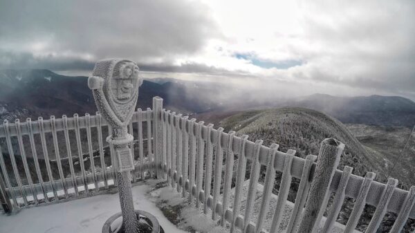 Hiking Cannon Mountain - Trails, Maps & Nearby Hikes