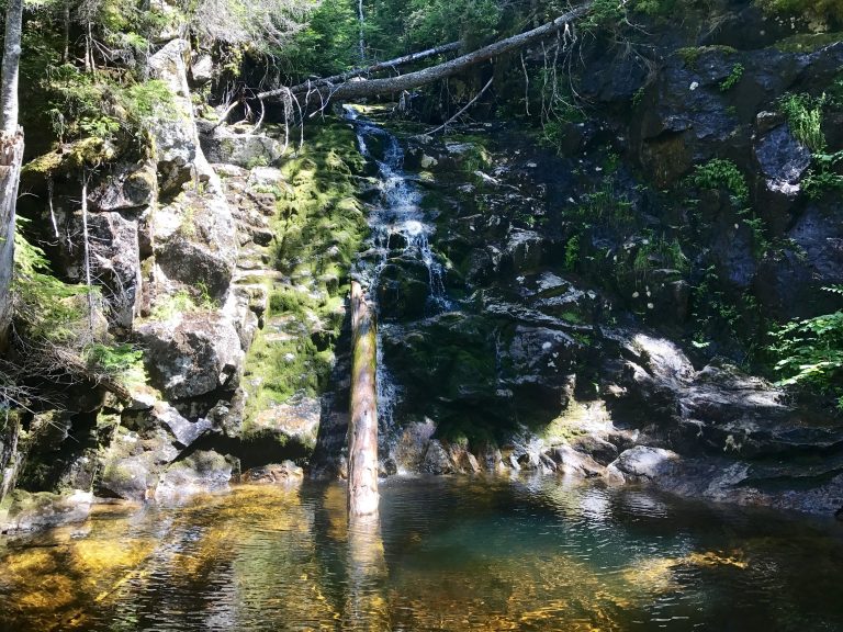 Mount Jackson & Mount Webster NH - Great Winter & Summer Hikes
