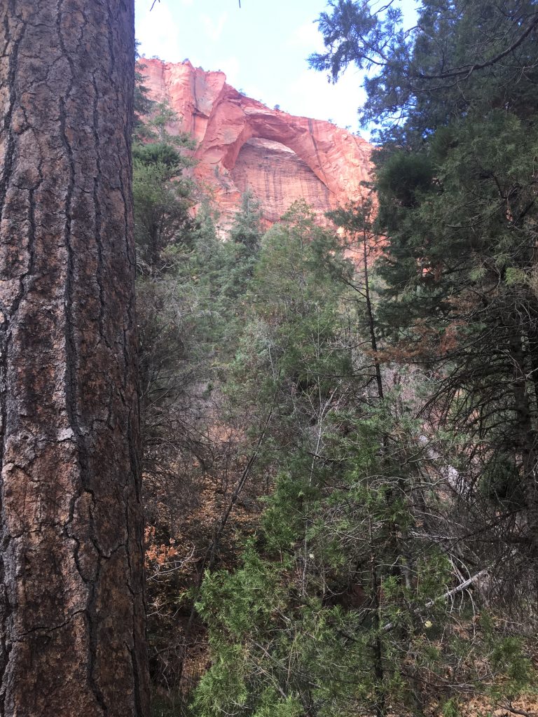 Hiking Kolob Arch | La Verkin Creek & Hop Valley Trail | Zion National Park