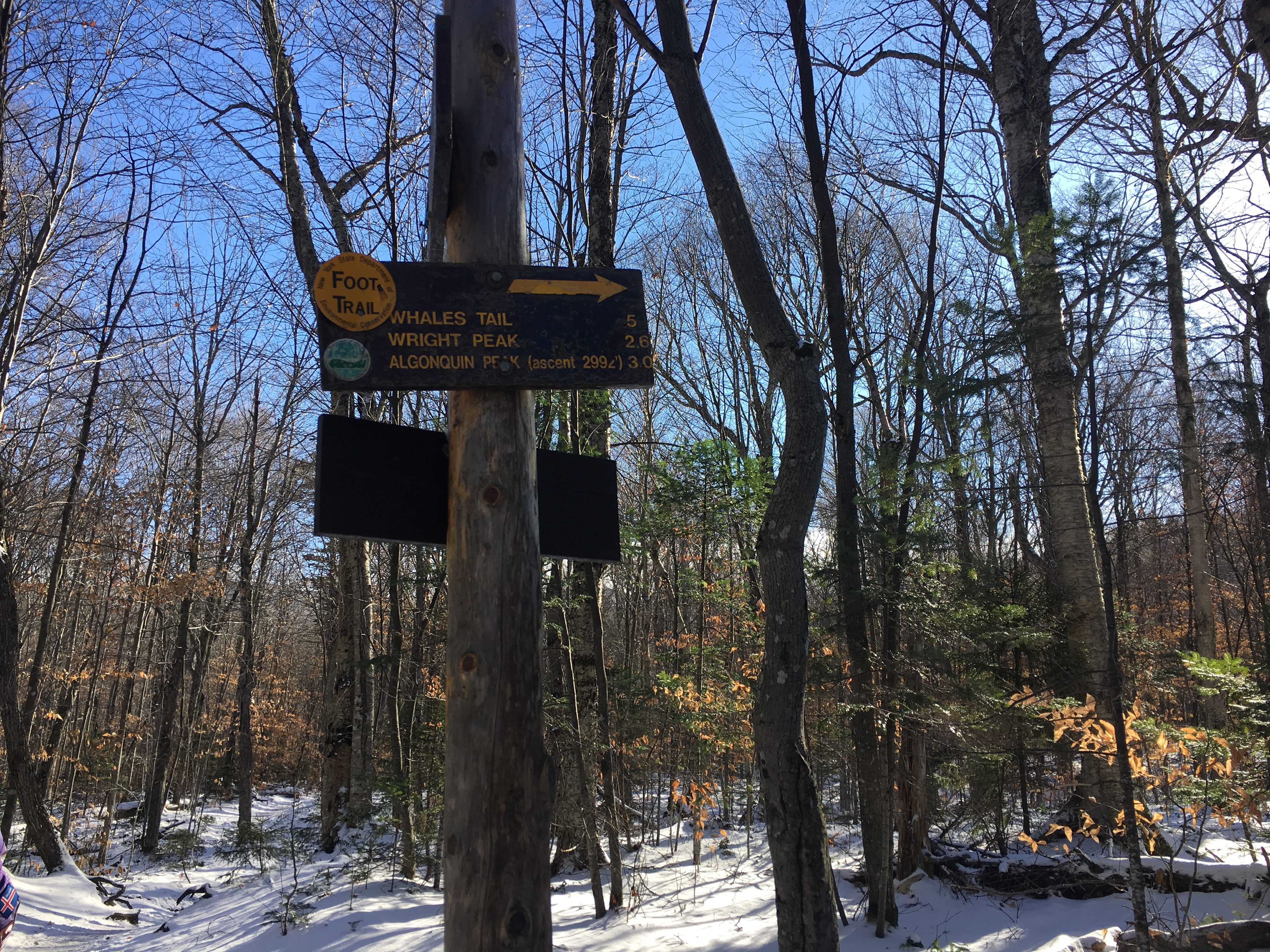 Hiking Wright Peak | Adirondacks NY | Trail Information