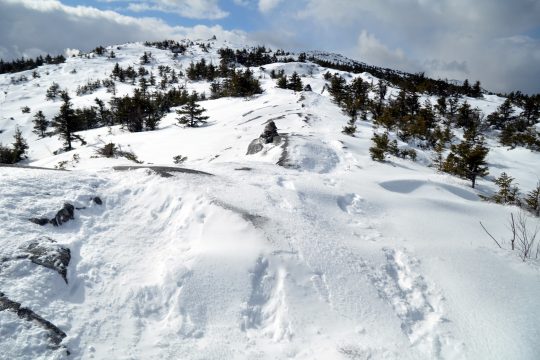Mount Monadnock Hiking Trail Guide: Map, Descriptions, Pictures & More