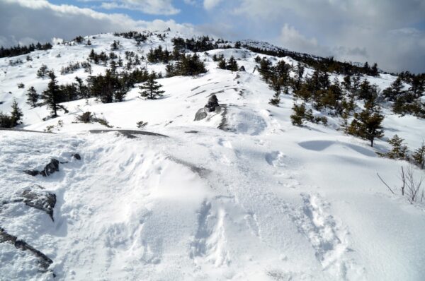 Mount Monadnock Hiking Trail Guide: Map, Descriptions, Pictures & More