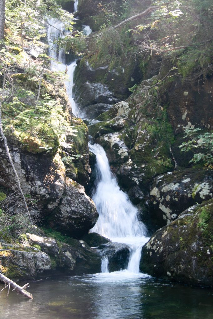 Mount Monroe Hiking Trail Guide: Map, Trail Descriptions, Pictures & More