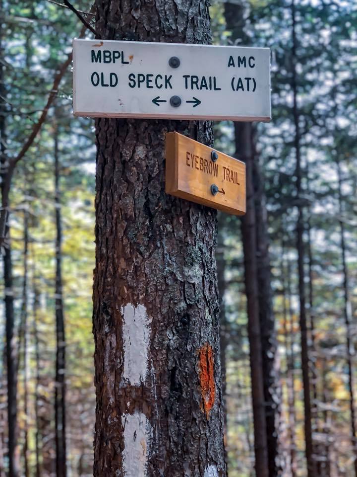 Old Speck Mountain Hiking Trail Guide: Map, Trails, Pictures & More