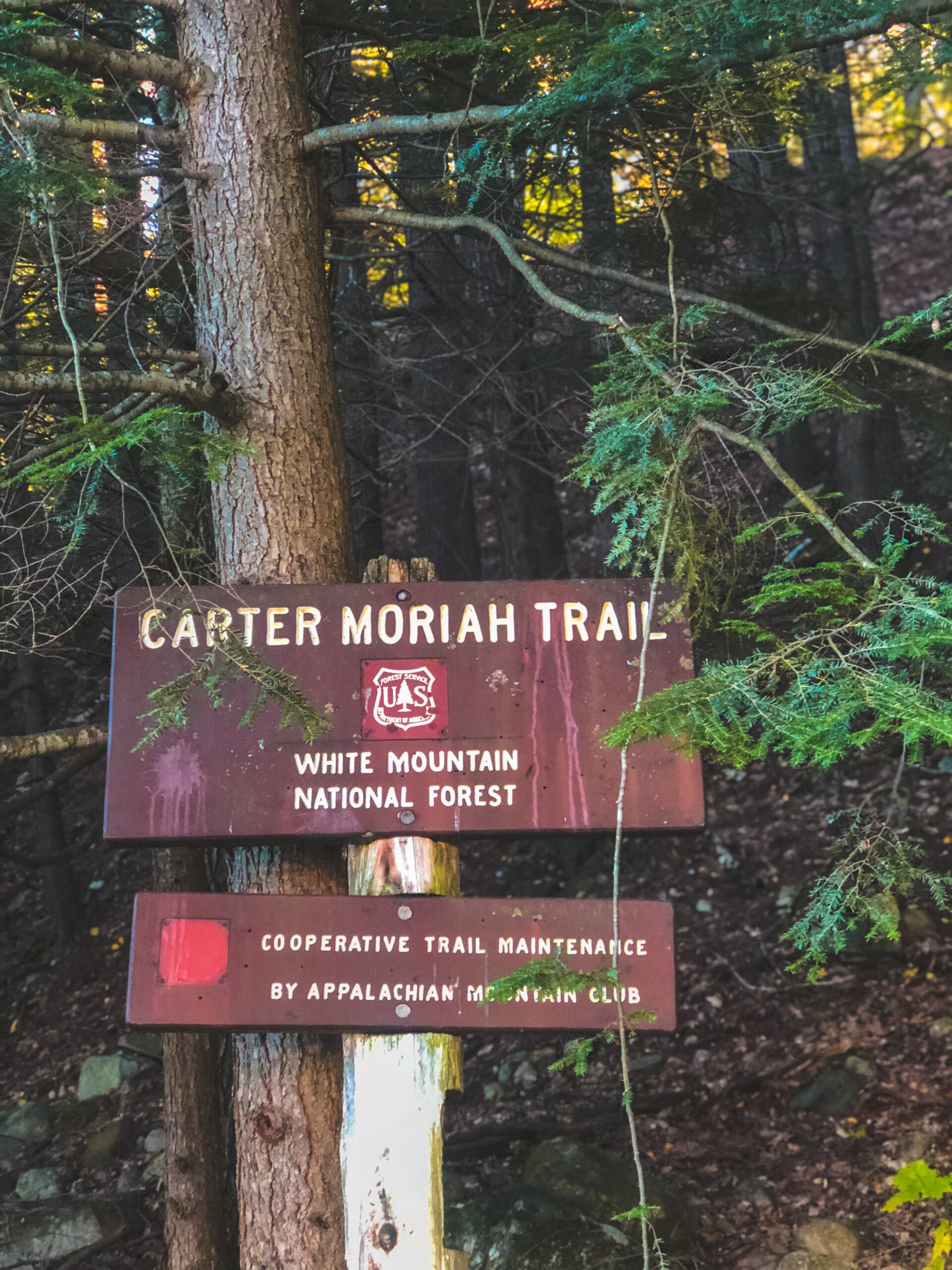 Hiking Mount Moriah | Beautiful Views of The Presidentials