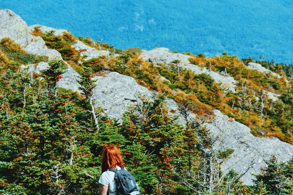 Camel's Hump Hiking Trail Guide: Map, Trail Descriptions, Pictures & More