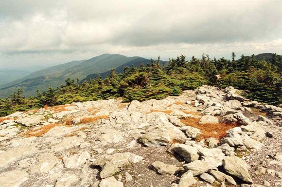 Mount Abraham Hiking Trail Guide: Map, Trails, Pictures & More