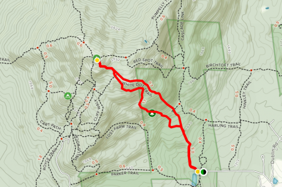 Mount Monadnock Hiking Trail Guide: Map, Descriptions, Pictures & More