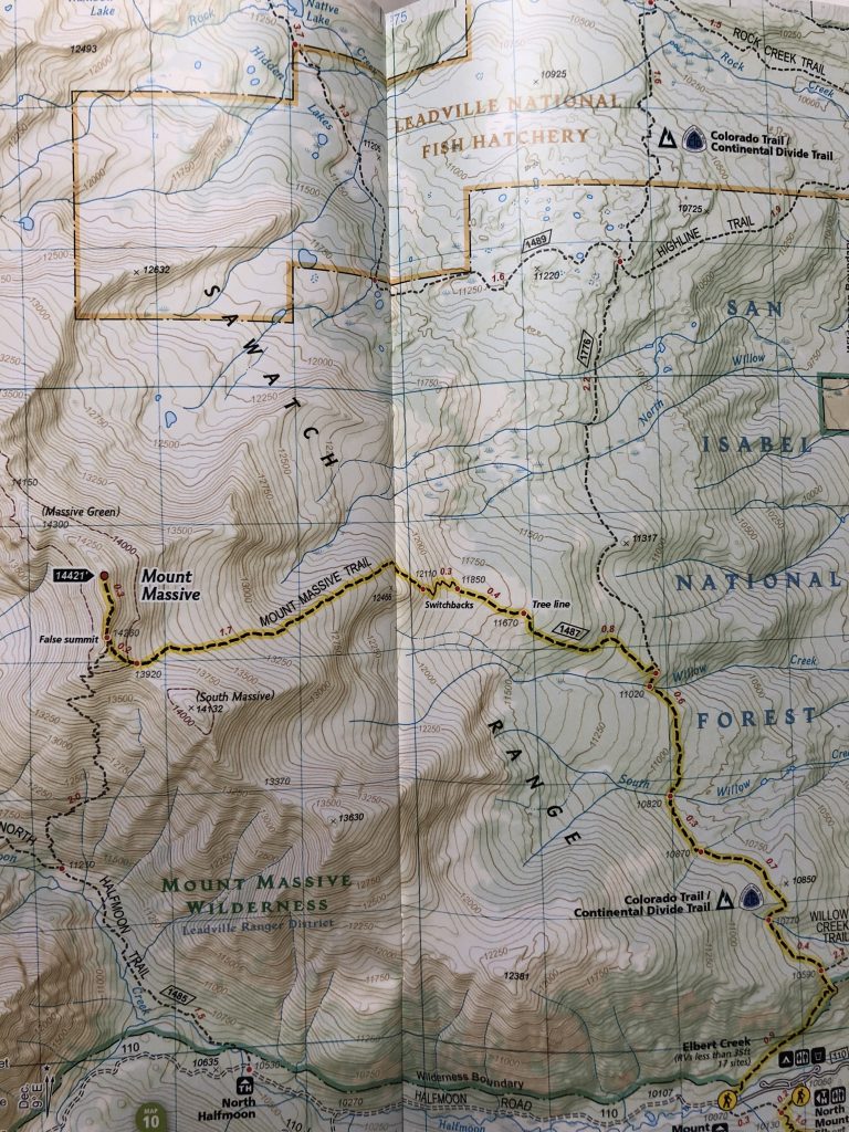 Mount Massive Hike | Trail Map, Description, Pictures, Directions & More