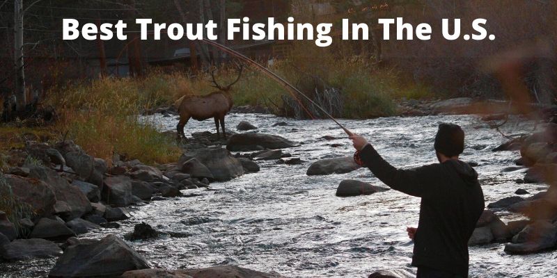 12 Best Destinations for Trout Fishing in the U.S. [+ Links For Each]