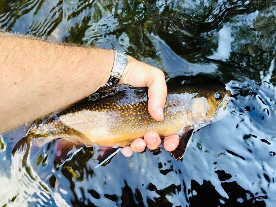 Fly Fishing The Swift River - Complete Guide To This Beautiful NH River