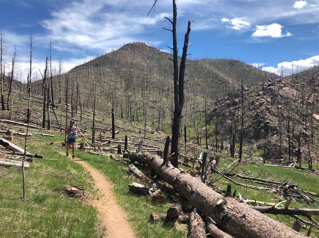 Young Gulch Trail - Poudre Canyon, Colorado | Maps, Pictures & More