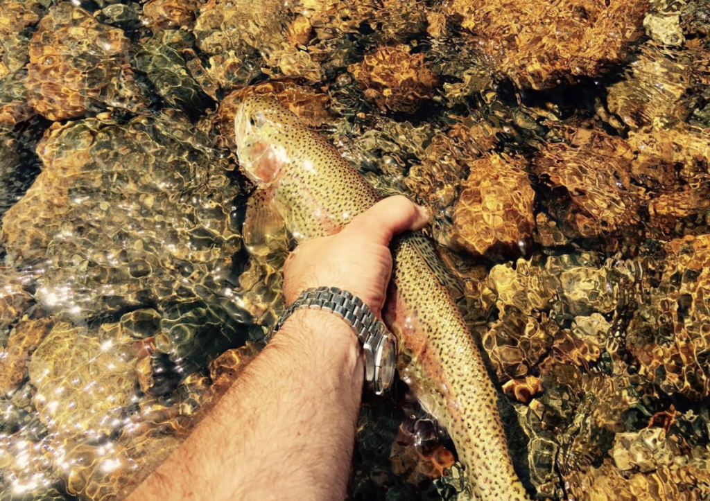 Fly Fishing The Swift River - Complete Guide To This Beautiful NH River