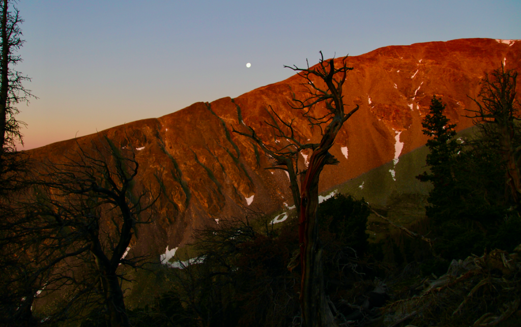 Hiking Mount Shavano | Trails, Pictures, Maps, Descritions & More