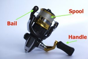 Types Of Fishing Reels: Ultimate Guide To Understanding Each