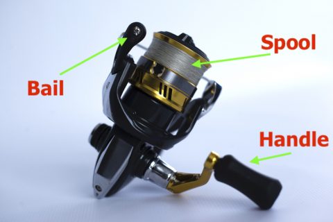 How To Cast A Spinning Reel - Directions, Video, & Other Resources