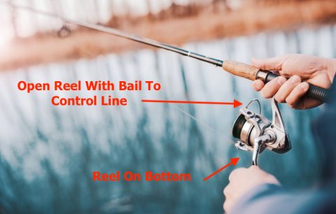 Types Of Fishing Rods & Poles Explained [Key Differences]