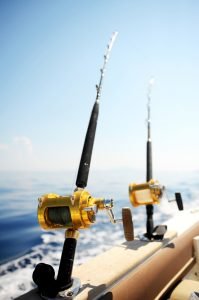Types Of Fishing Rods & Poles Explained [Key Differences]