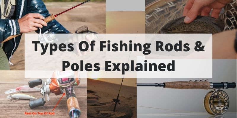 Types Of Fishing Rods & Poles Explained [Key Differences]