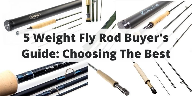 Your Guide to Choosing the Best 5 Weight Fly Rod [In Every Price Range]