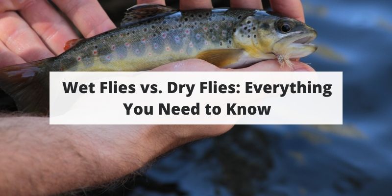 Wet Flies vs. Dry Flies: Everything You Need to Know