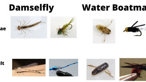 Types Of Fly Fishing Flies - Your Beginner's Guide