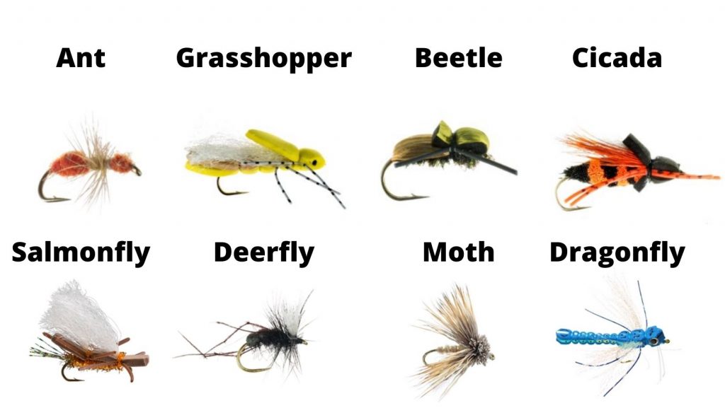 Fly Fishing Entomology - Everything Fishermen Should Know