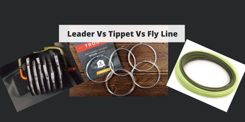 Leader vs. Tippet vs. Fly Line | Fly Line & Tippets Explained