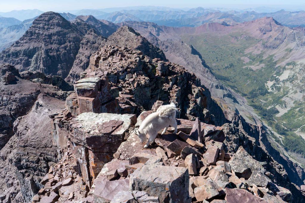 Hiking Pyramid Peak, Colorado - Trail Map, Pictures, Description & More