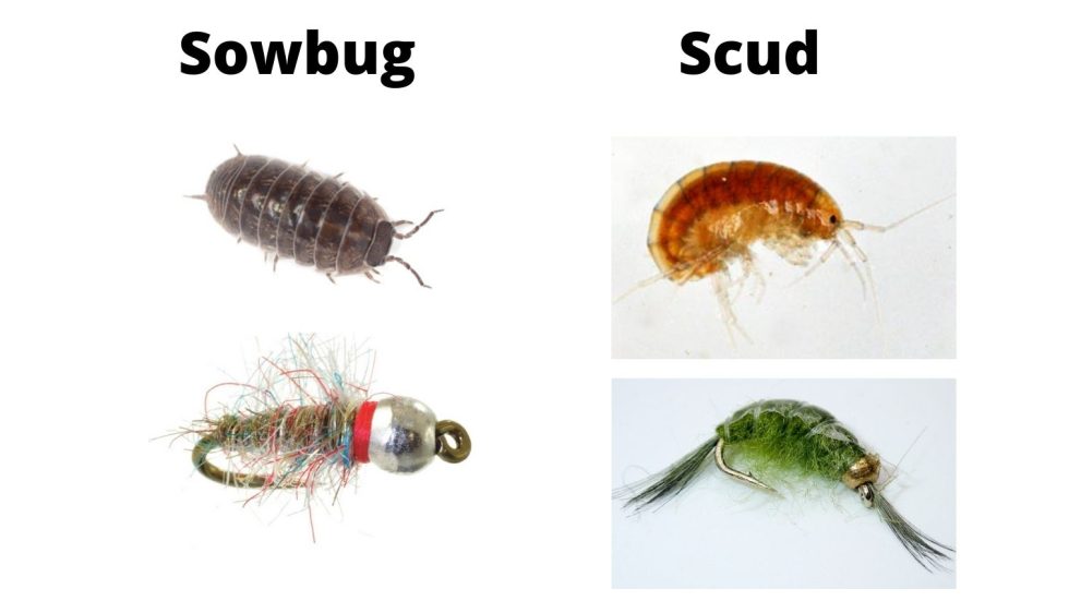 Types Of Fly Fishing Flies - Your Beginner's Guide