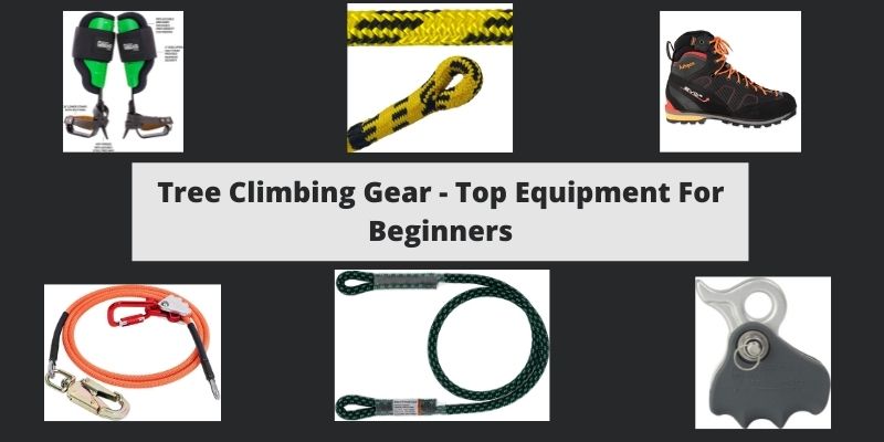 Tree Climbing Gear - Top Equipment For Beginners
