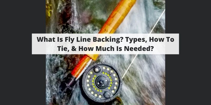 What Is Fly Line Backing? Types, How To Tie, & How Much Is Needed?