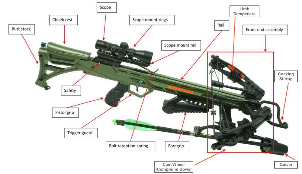 A Beginner's Guide to Crossbow Hunting