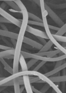 Base Layer Material Comparison Guide - Everything You Need To Know