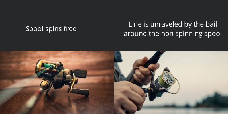 Pros & Cons of Baitcasting vs Spinning Reels: Which is Right for You?