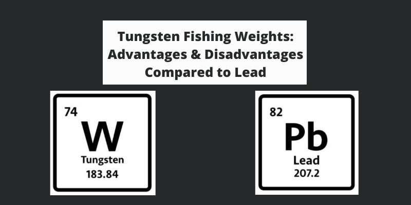 Tungsten Vs Lead Fishing Weights: Advantages & Disadvantages