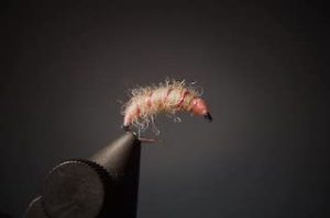 Best Wet Flies For Trout - Your Complete Wet Fly Guide