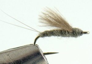 Best Wet Flies For Trout - Your Complete Wet Fly Guide