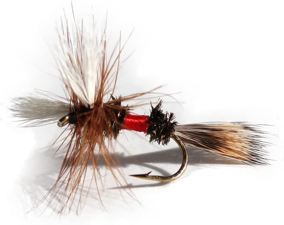 Best Trout Flies: Your Complete List of the Essential Flies For Every ...