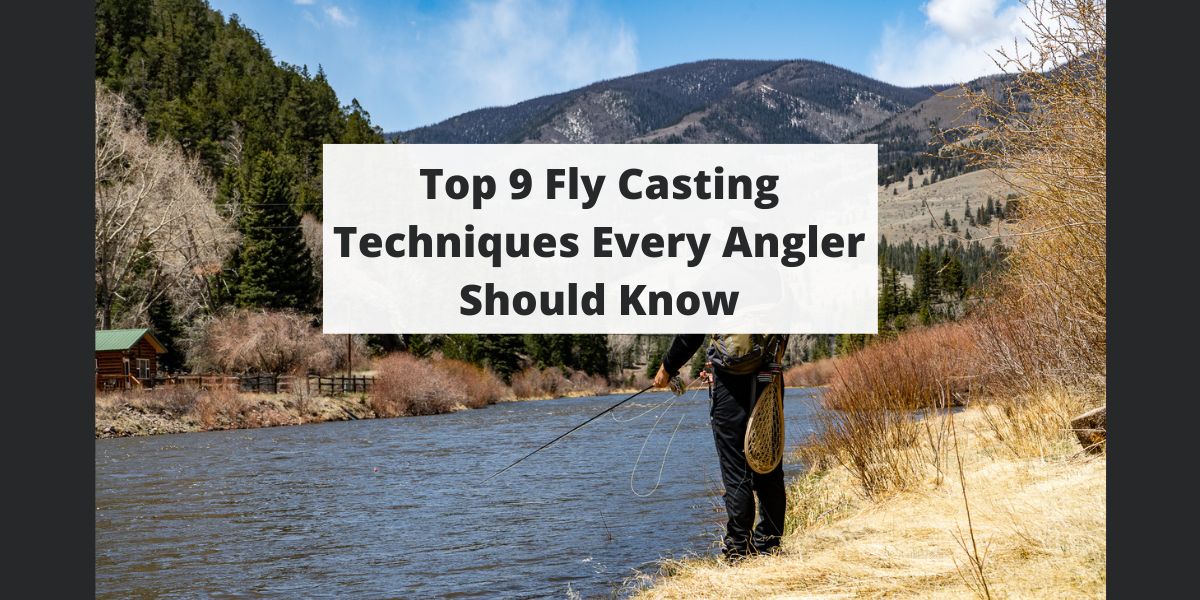 Top 9 Fly Casting Techniques Every Angler Should Know