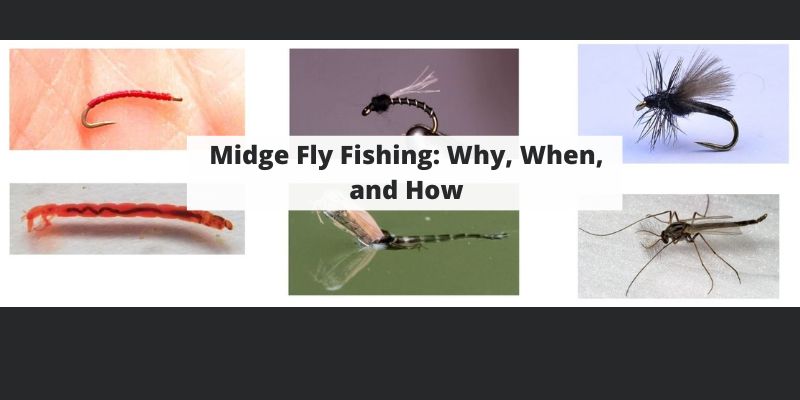 Midge Fly Fishing: Why, When, and How To Be Effective