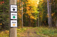 Hiking 101: How To Read Trail Blazes, Signs & Markers