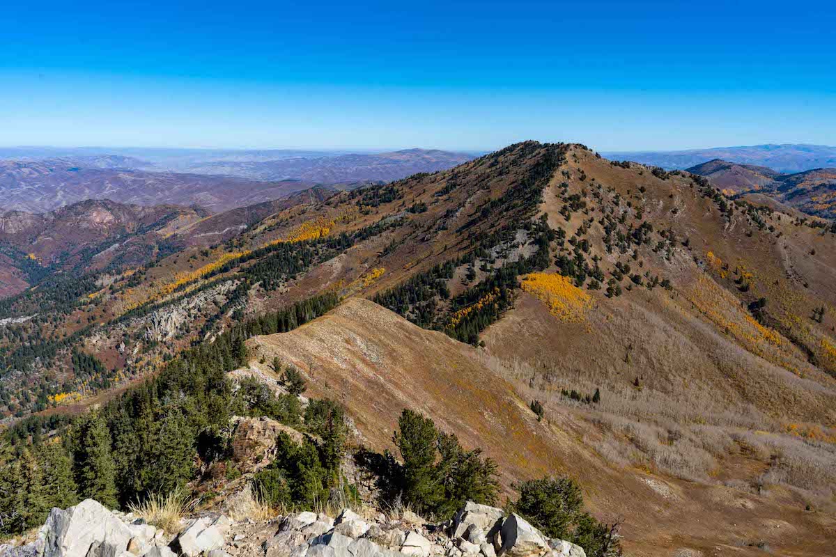 Hiking Mount Raymond, Utah - Trail Map, Pictures & More