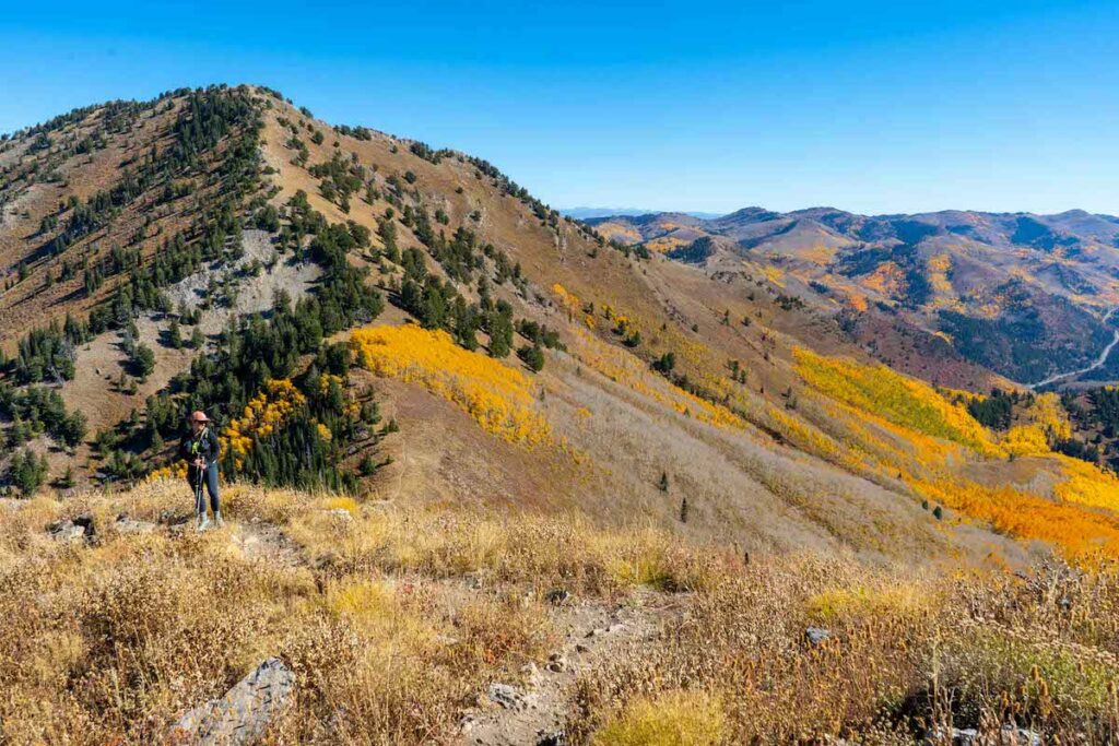 Hiking Mount Raymond, Utah - Trail Map, Pictures & More