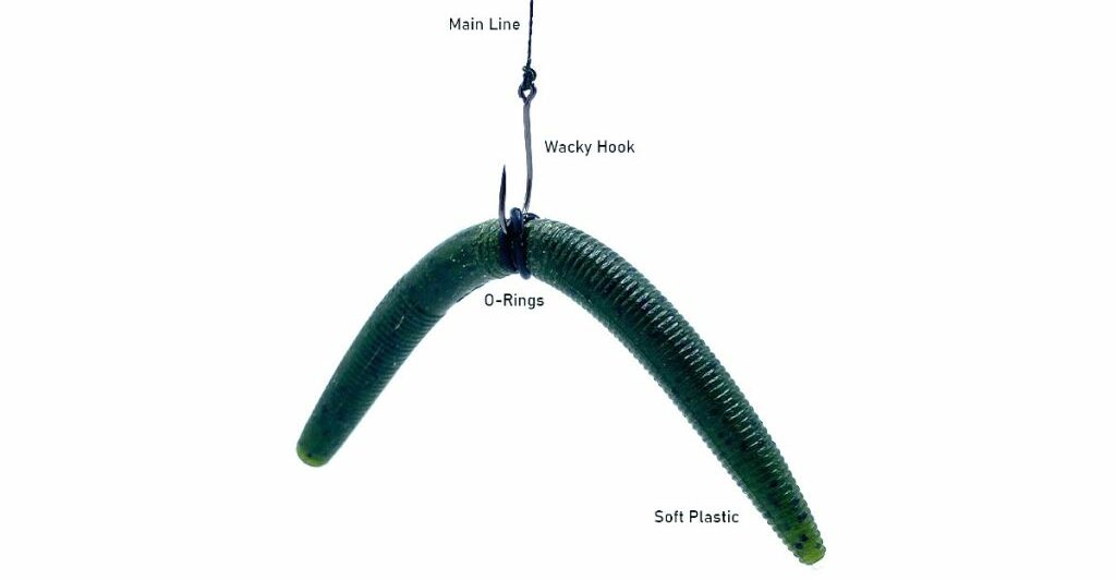 Texas Rig Vs Wacky Rig - Which is Best and When