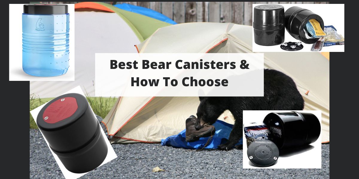 Best Bear Canisters For Backpacking & How To Choose