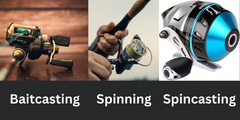 Types Of Fishing Reels: Ultimate Guide To Understanding Each