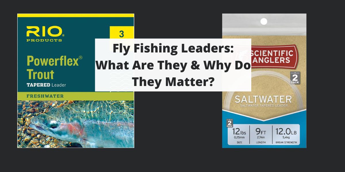 Fly Fishing Leaders: What Are They & Why Do They Matter?