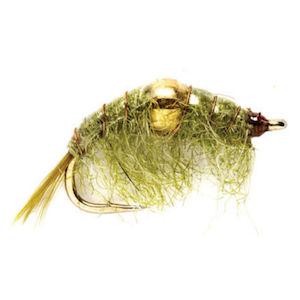 Best Wet Flies For Trout - Your Complete Wet Fly Guide