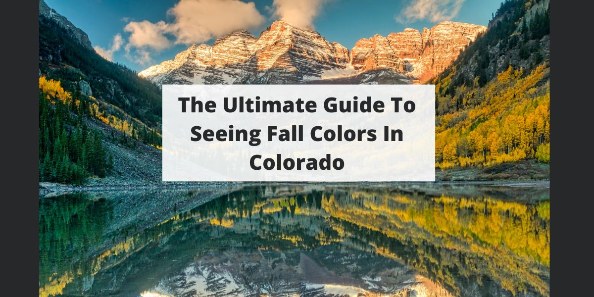 The Ultimate Guide To Seeing Fall Colors In Colorado